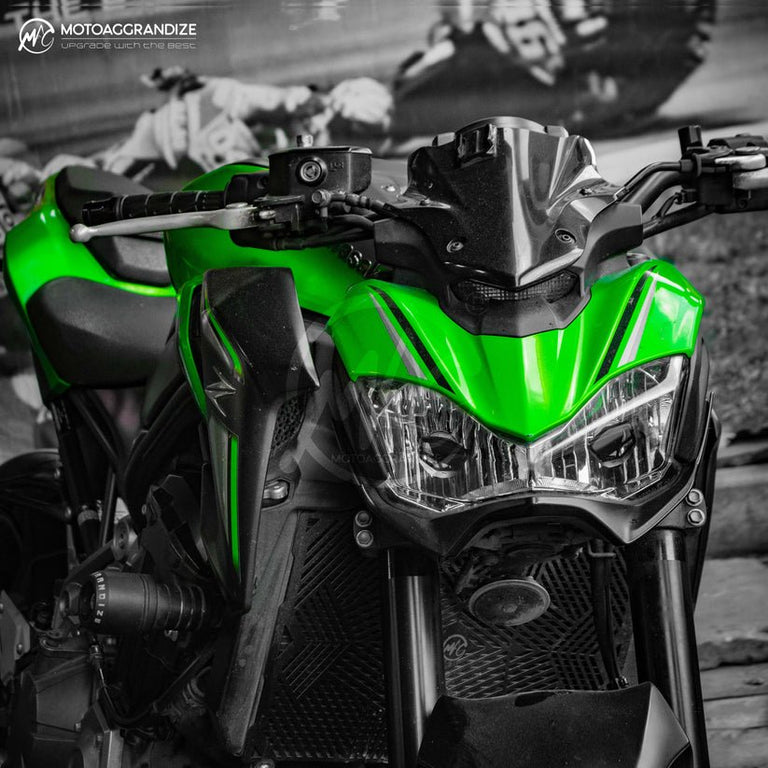 Kawasaki Z900 MOTOAGGRANDIZE Radiator Guard – LRL Motors